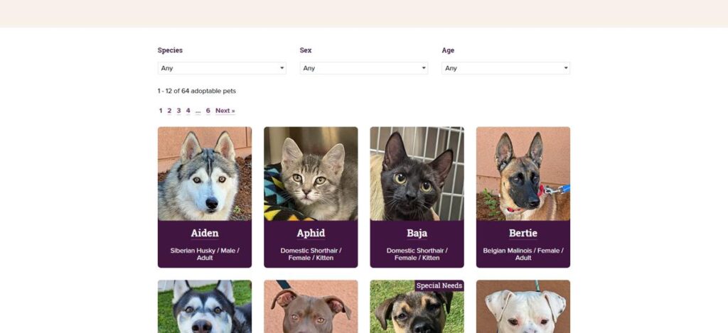 Websites for Animal Rescue Centers – ManfredK